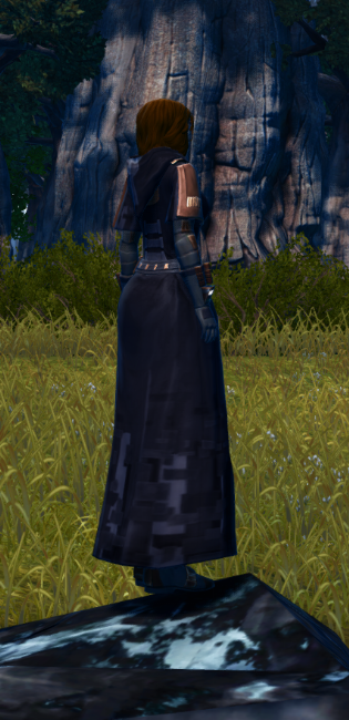 SWTOR Fitted Dantoonian Trellised Armor