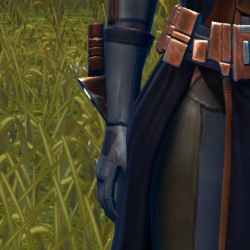 SWTOR Fitted Dantoonian Trellised Armor