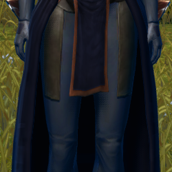 SWTOR Fitted Dantoonian Trellised Armor