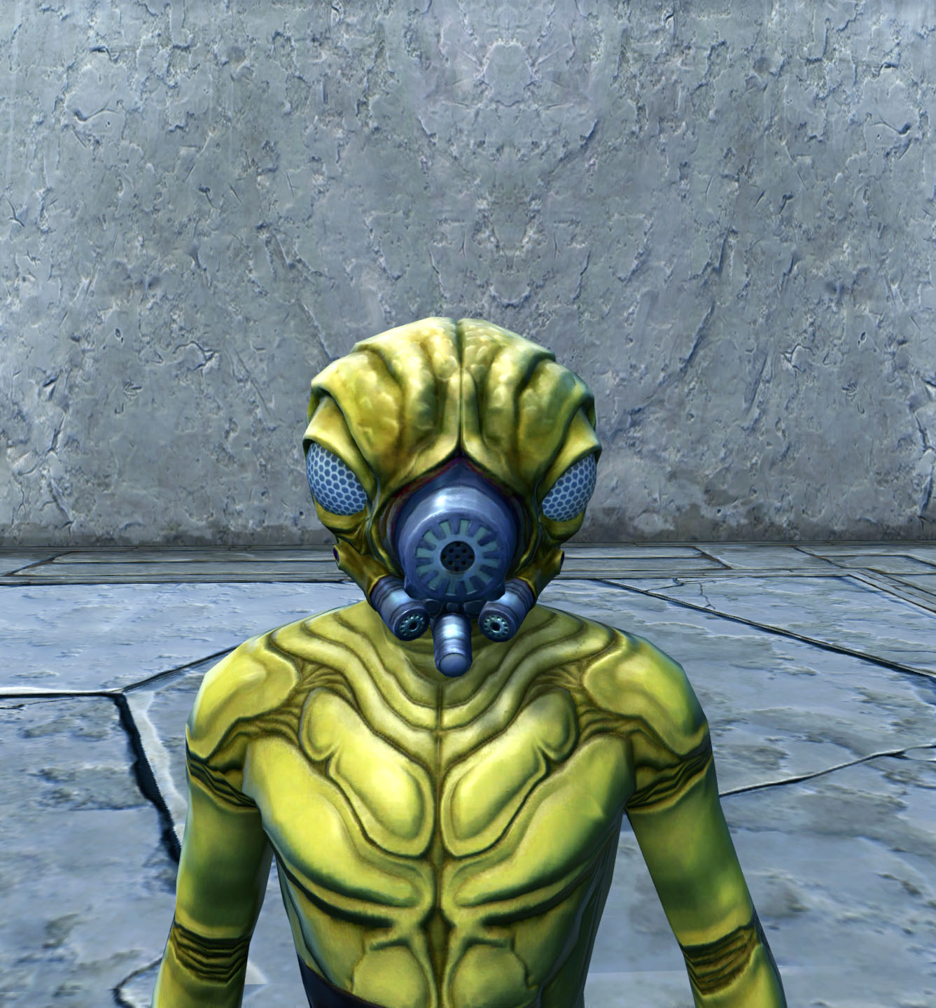 Yuun Customization 1 customization