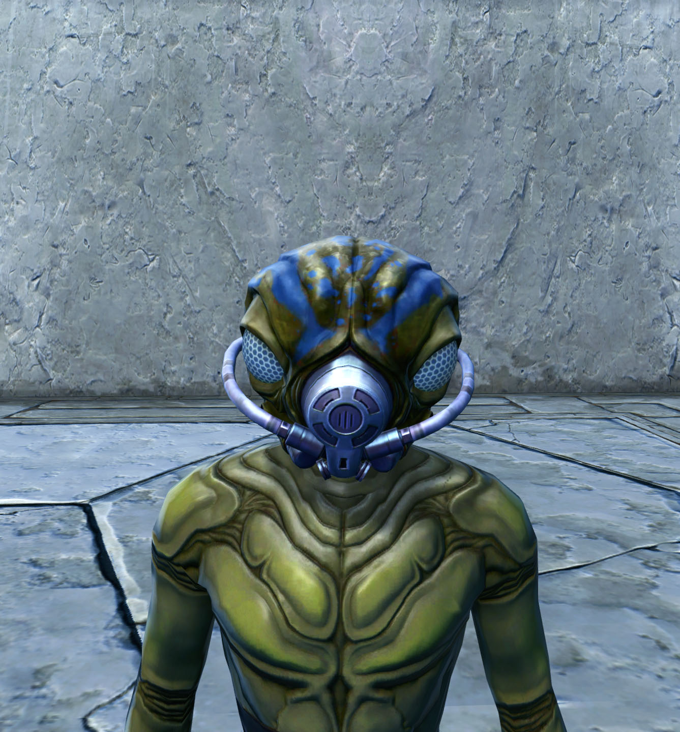 Yuun Customization 2 customization