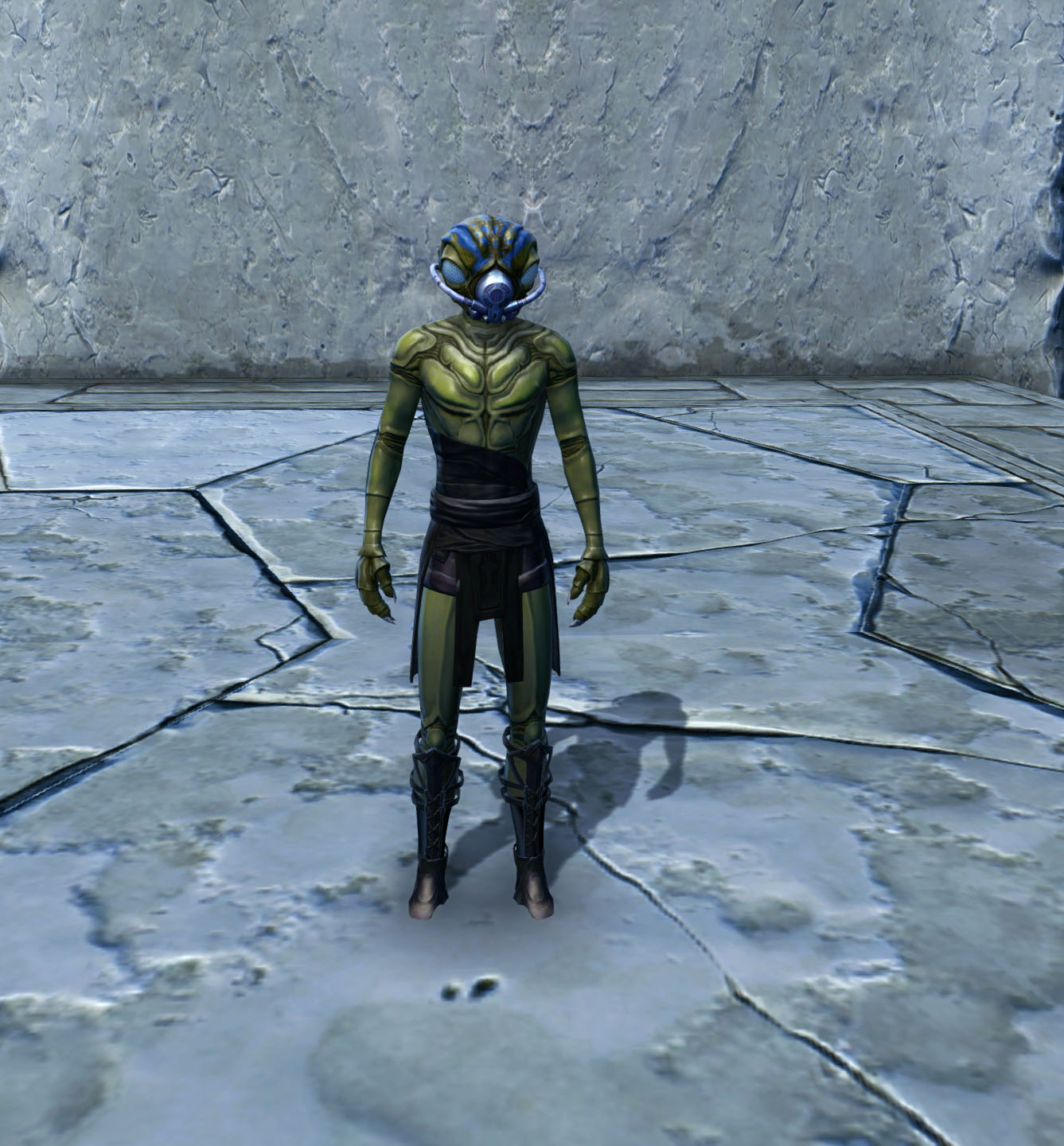 Yuun Customization 2 customization